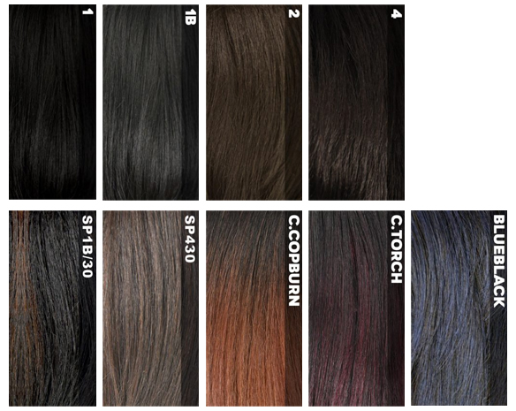 Vanessa Wig Color Chart